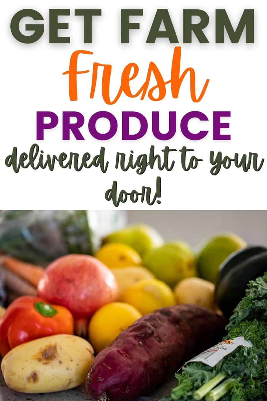 FarmBox Direct: A Complete Review