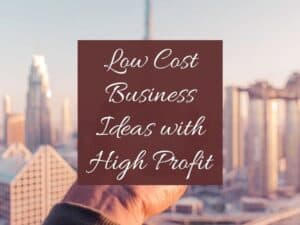 5 Low Cost Business Ideas with High Profit - The Million Dollar Mama
