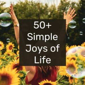 50+ Simple Joys of Life - The Million Dollar Mama