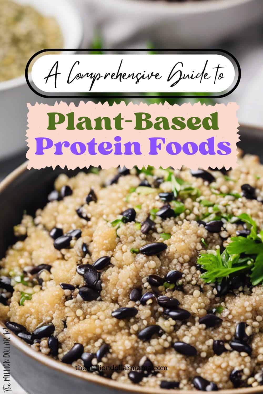 Plant-Based Protein Foods - A Comprehensive Guide
