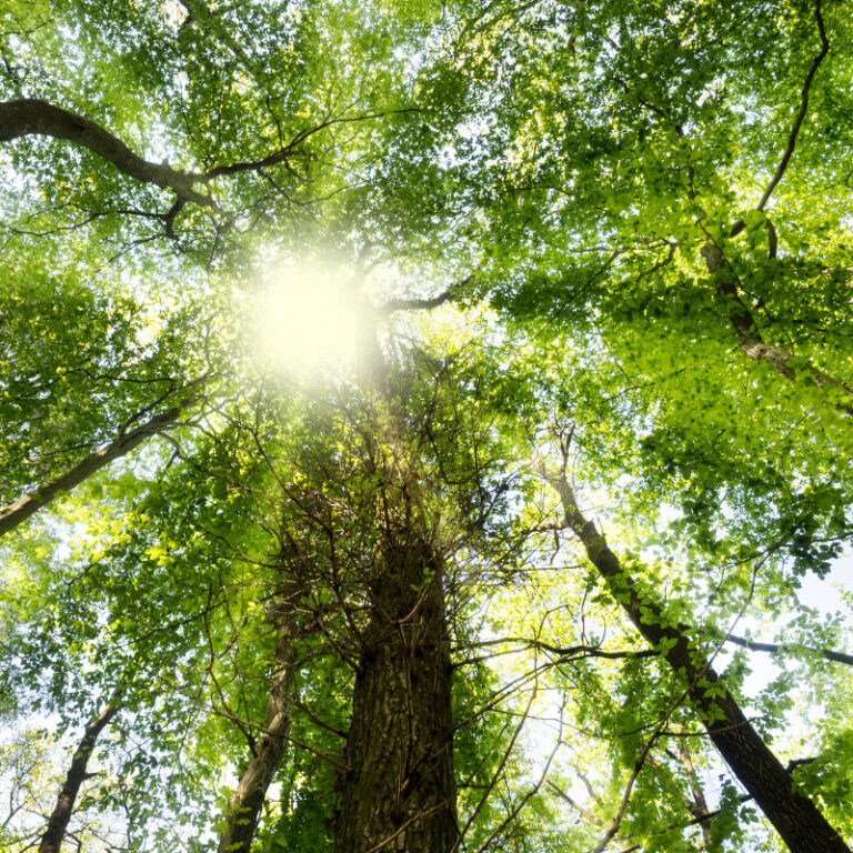 11 Effective Methods To Fall Asleep Quickly