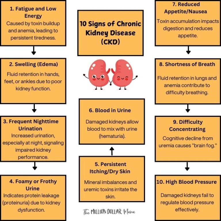 10 Signs that you may have Chronic Kidney Disease (CKD)