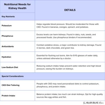 15 Top Foods to Support Kidney Health