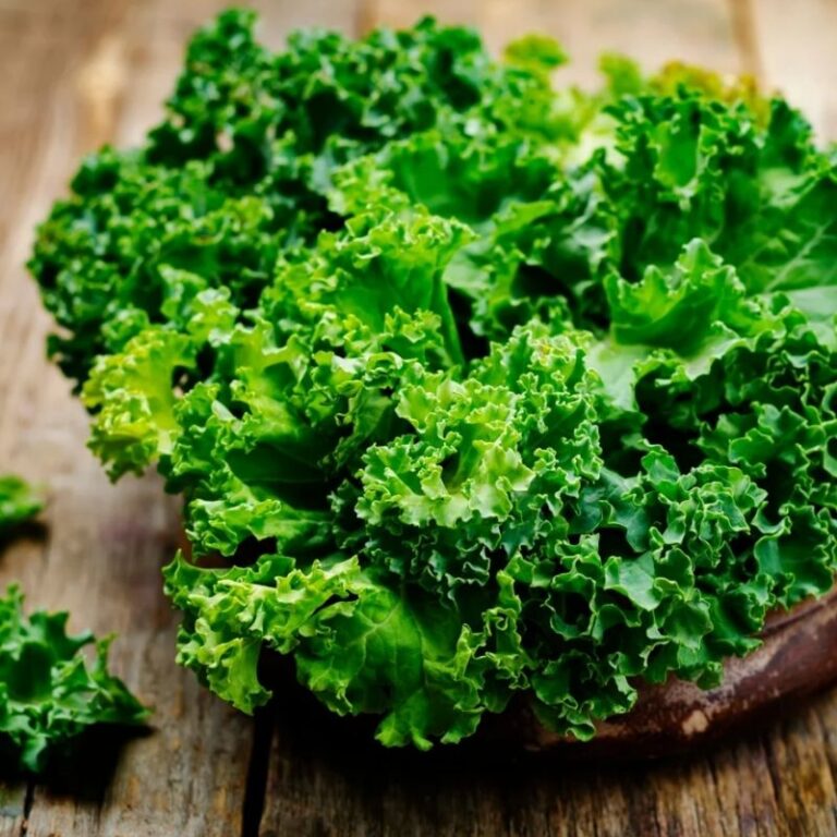 15 Nutrient-Dense Foods That You Should Know About!