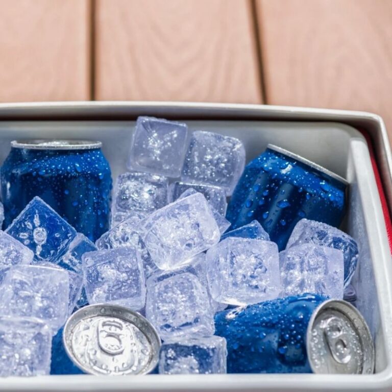 23 Beach Picnic Essentials