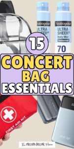 15 Essentials You Must Bring in Your Concert Bag