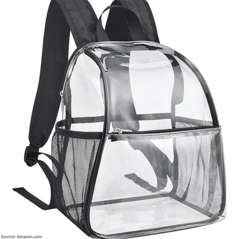 15 Essentials You Must Bring in Your Concert Bag