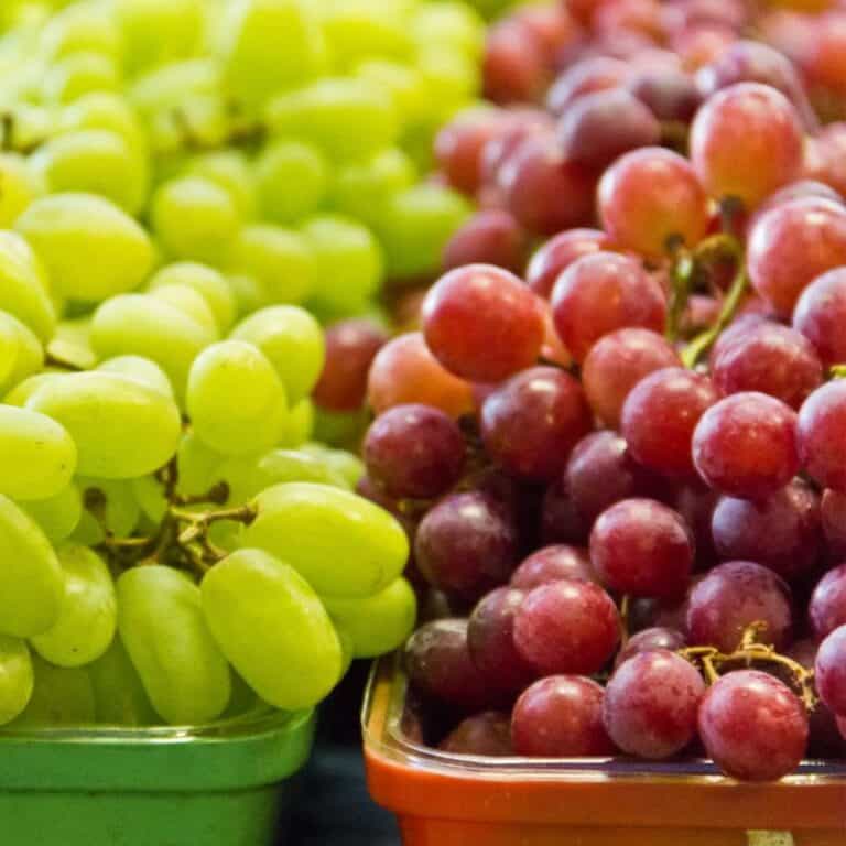 15 Foods for 15 Healthy Body Parts