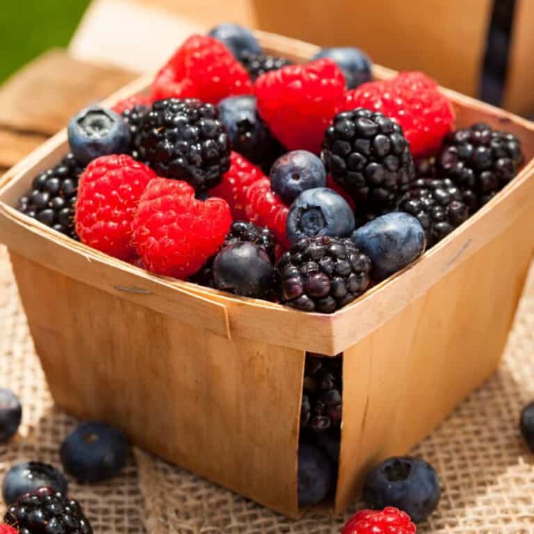 11 Healthy Foods that Improve Brain Function