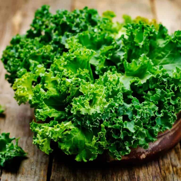 Foods That Help With Brain Fog
