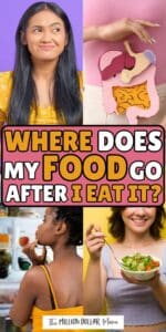 Where Does My Food Go After I Eat It?